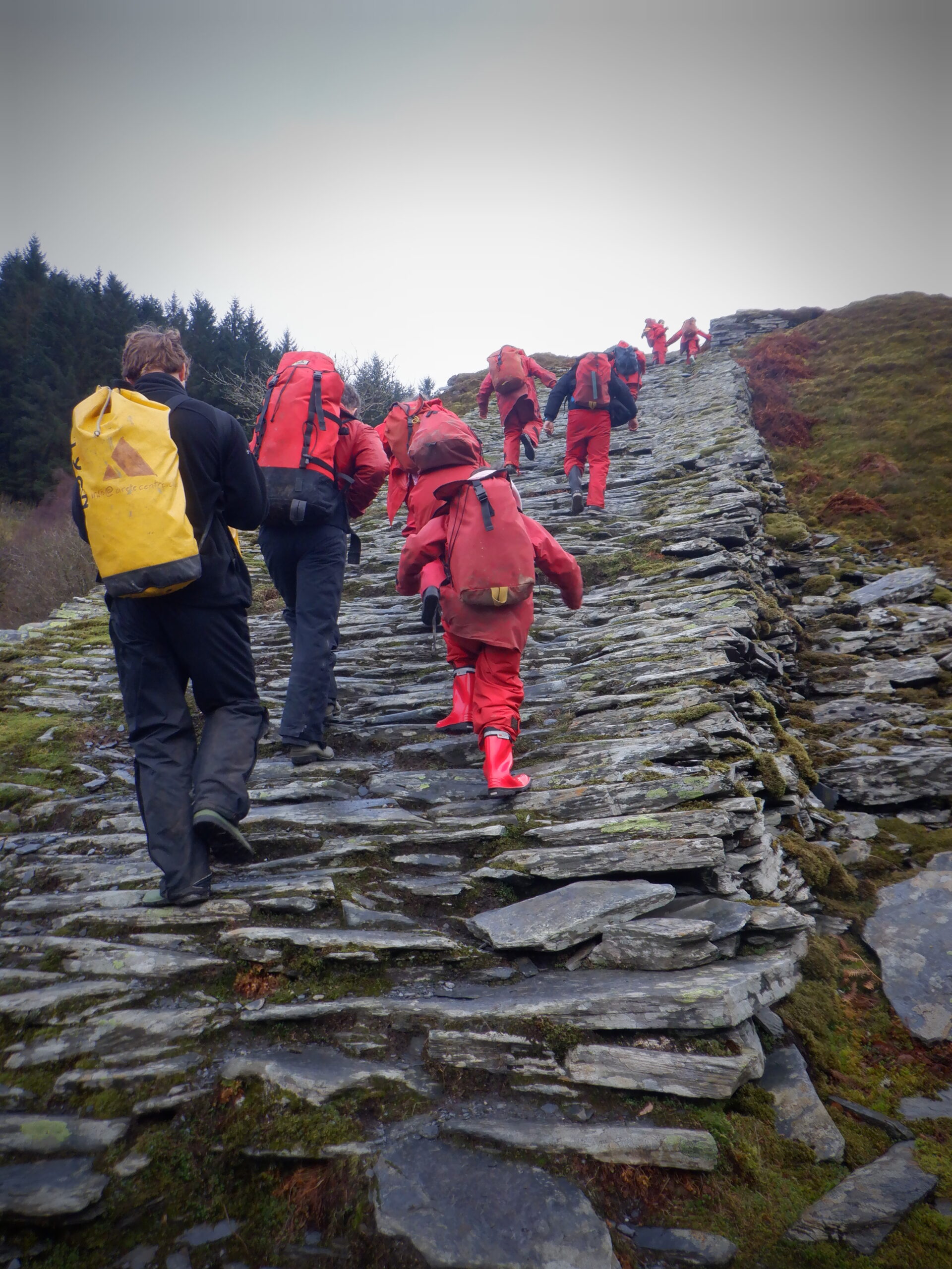 Year 5 | Hollymount School