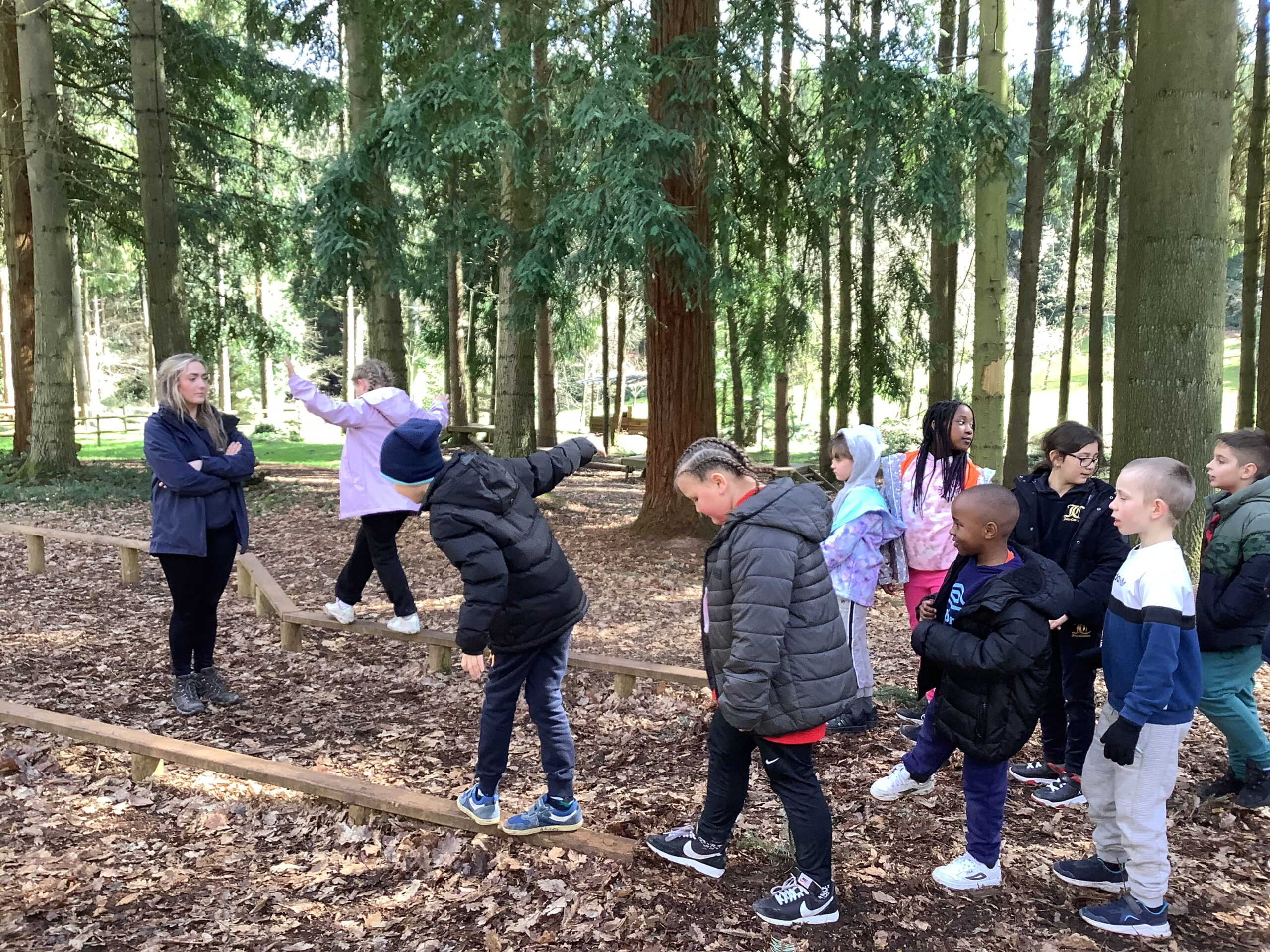 Year 4 | Hollymount School