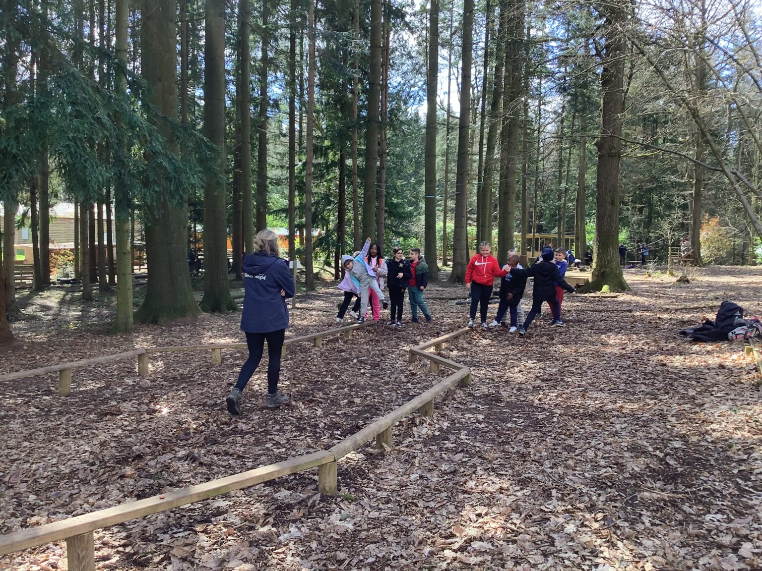 Year 4 | Hollymount School