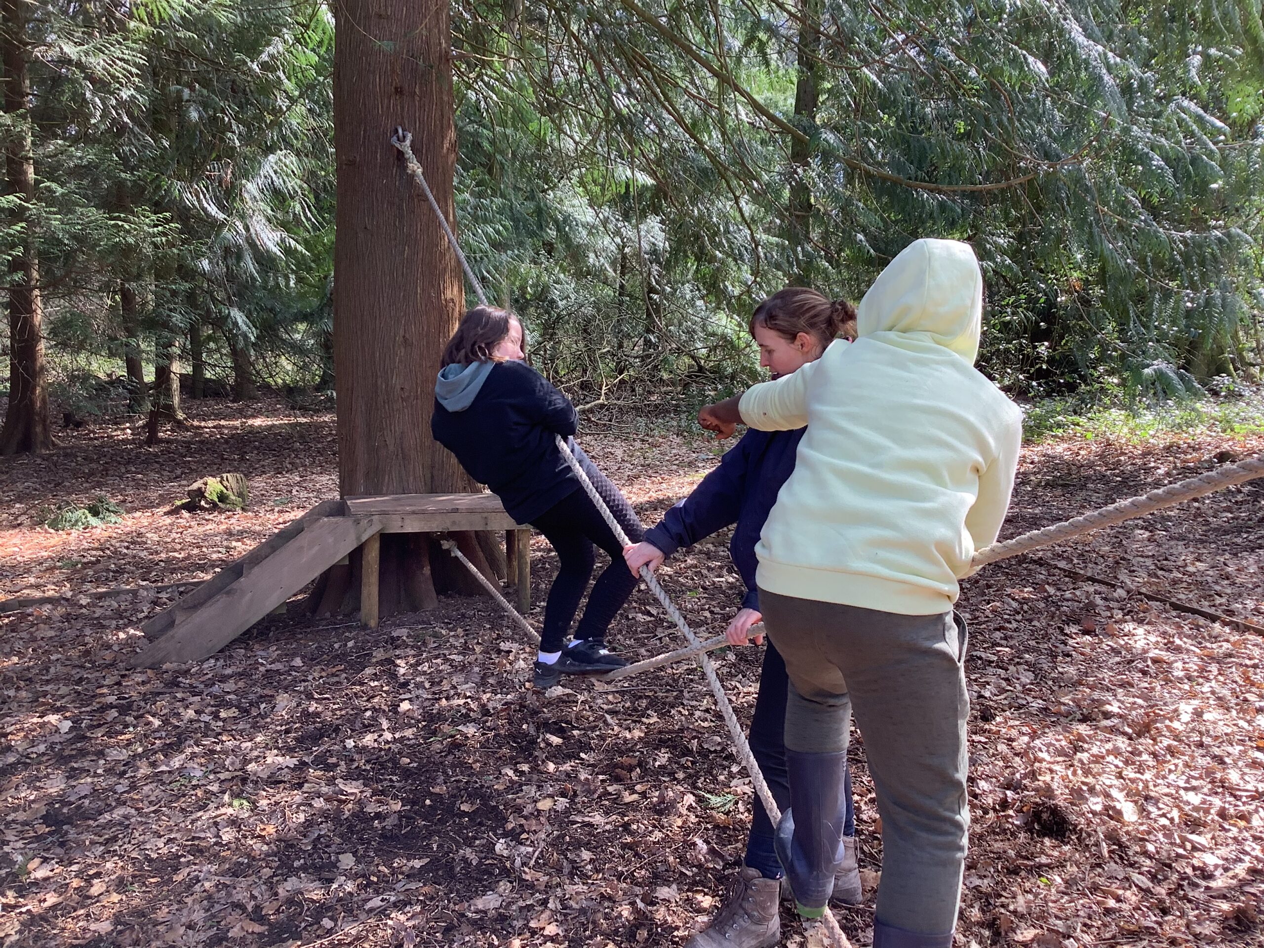 Year 4 | Hollymount School