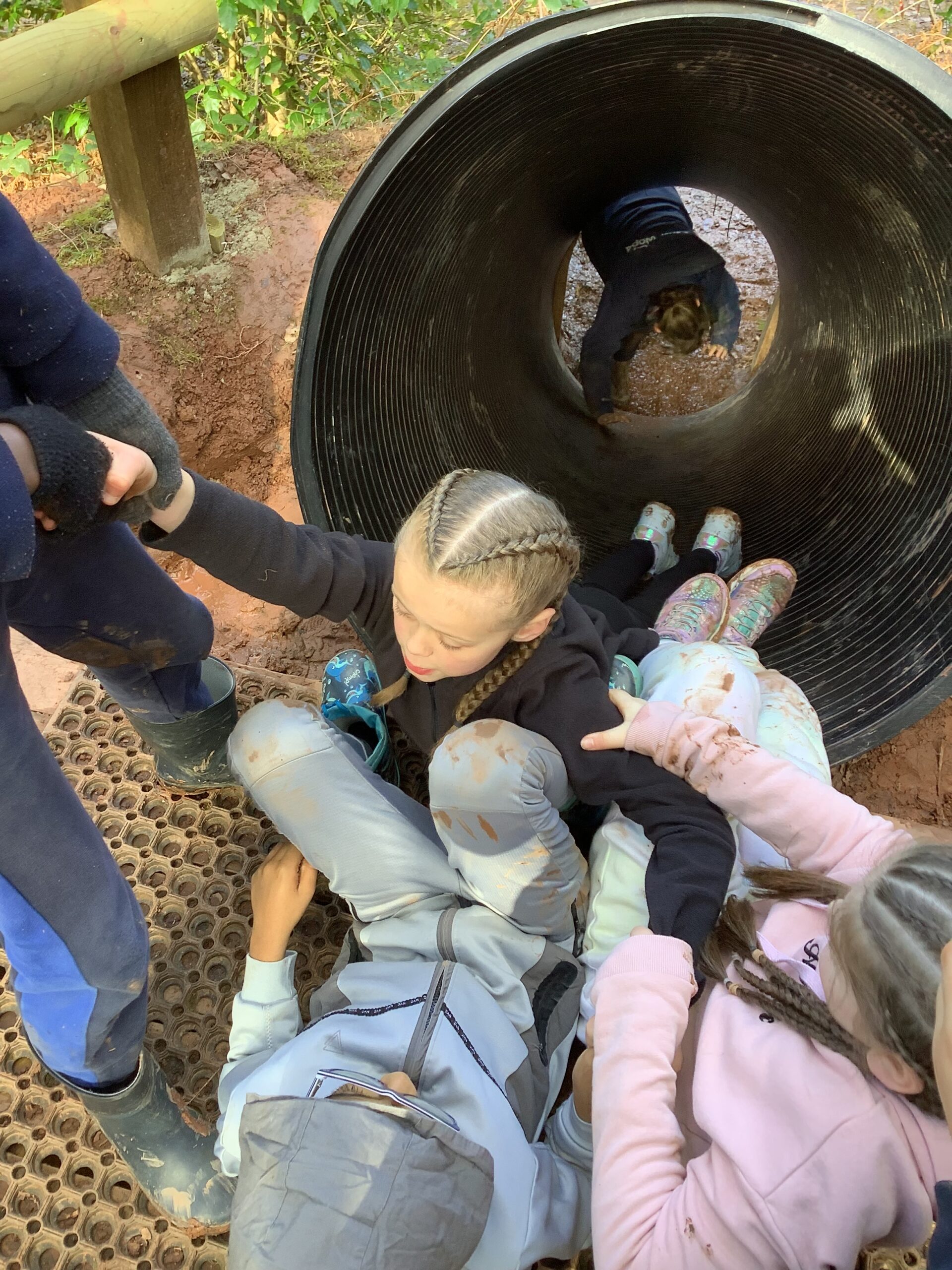 Year 4 | Hollymount School