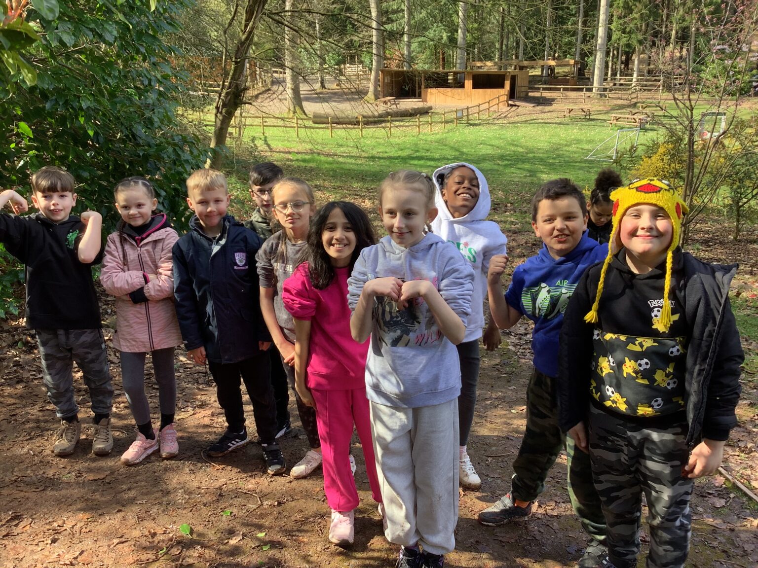 Year 4 | Hollymount School