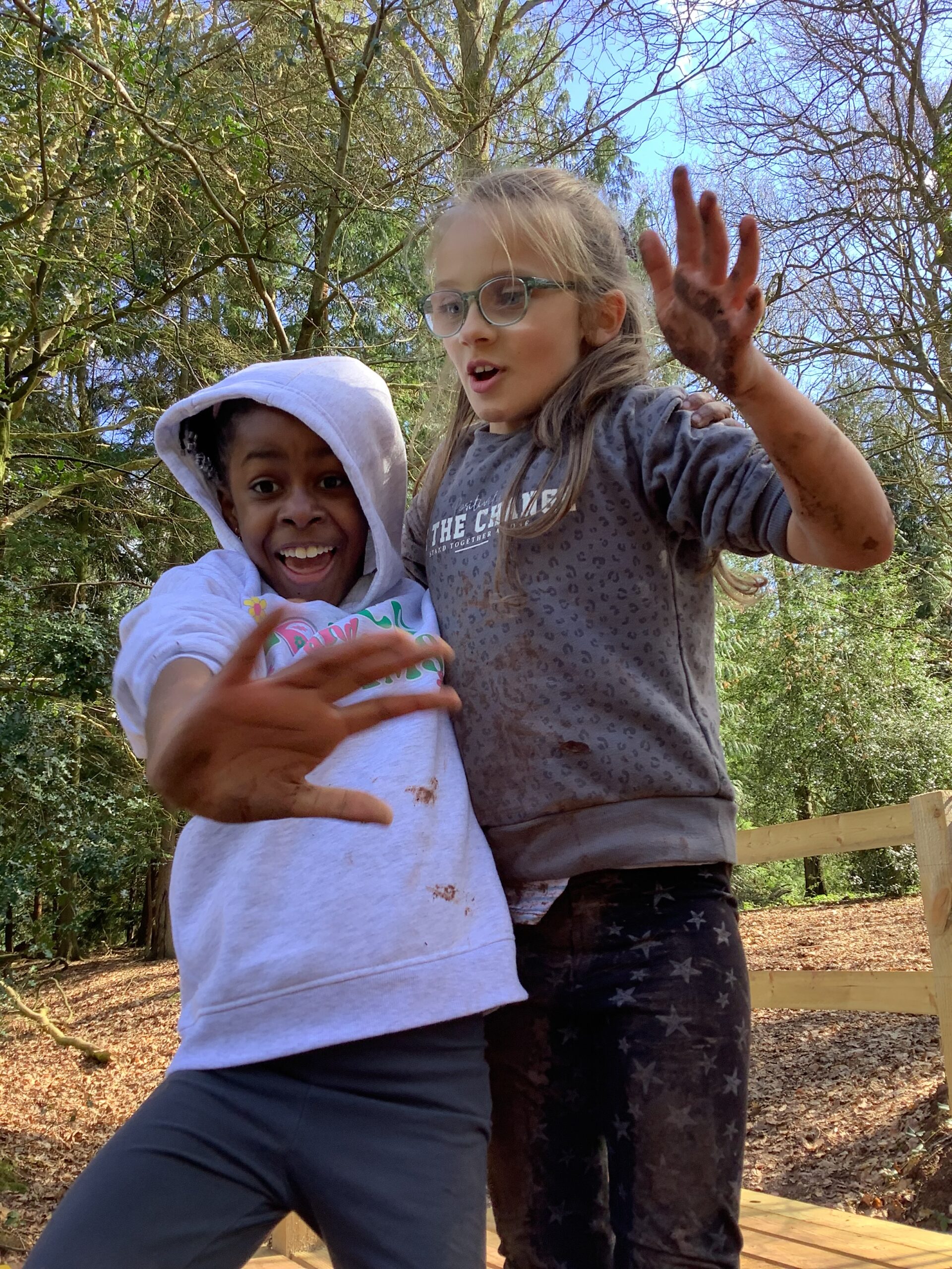 Year 4 | Hollymount School