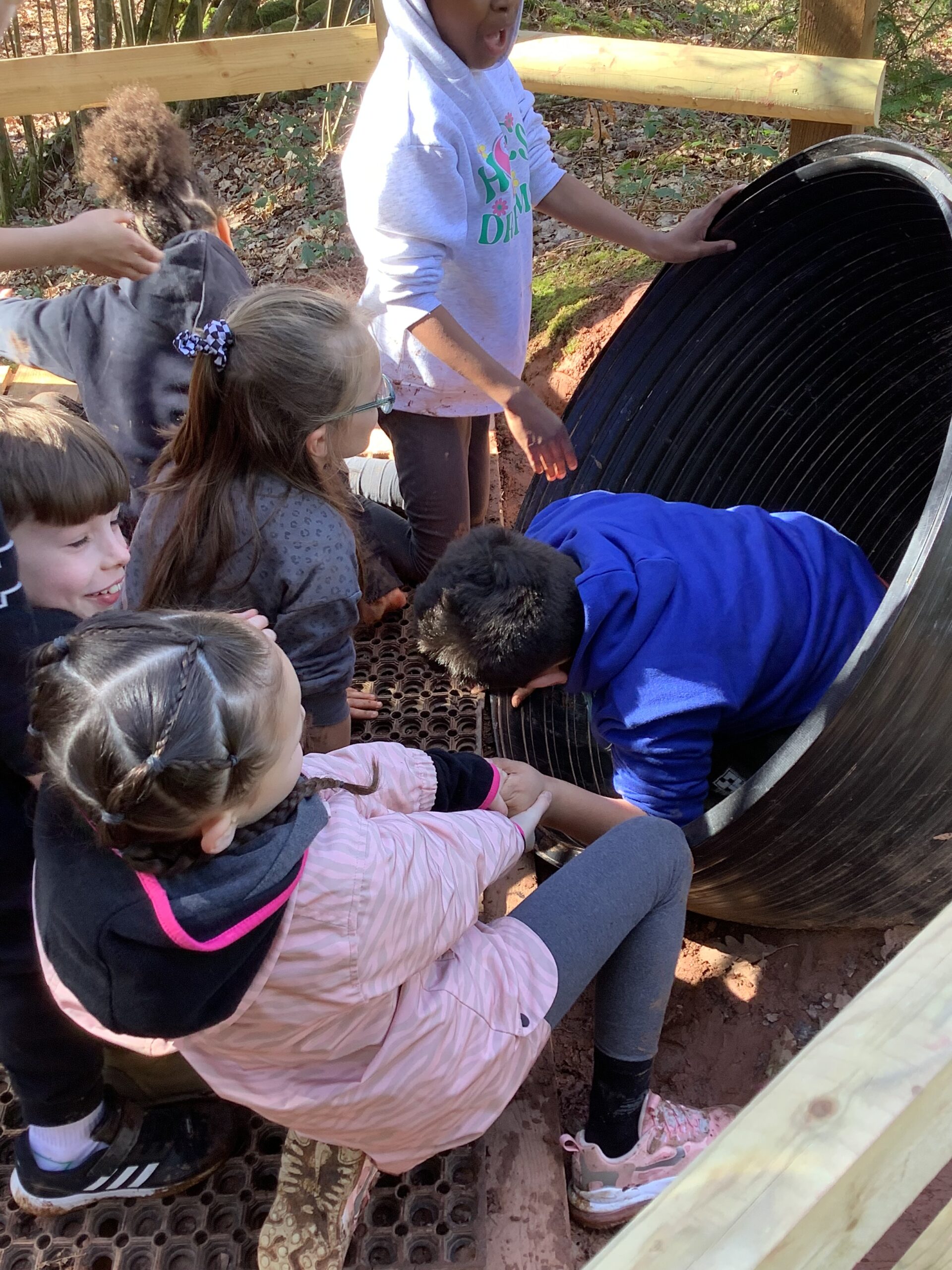 Year 4 | Hollymount School