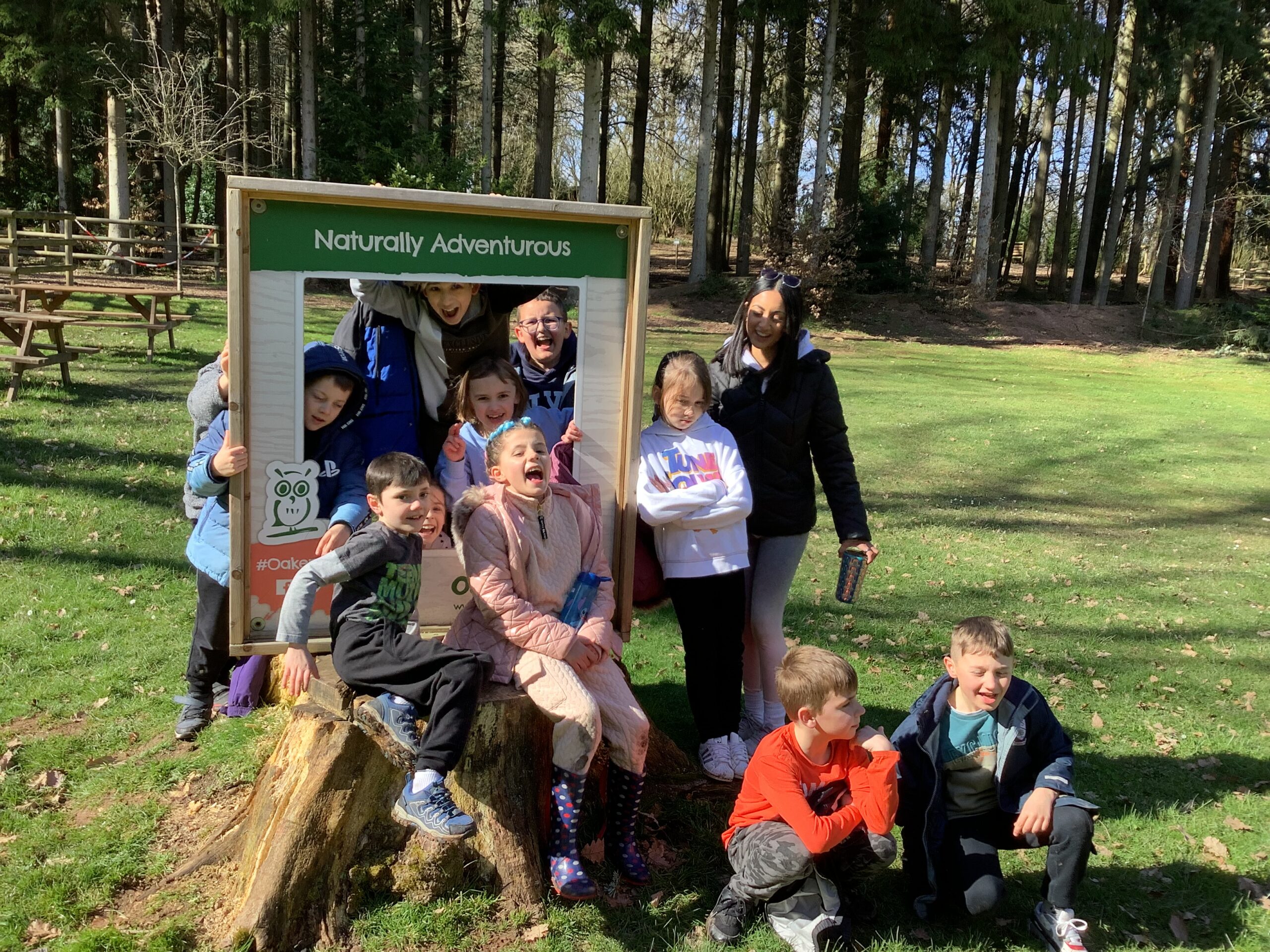 Year 4 | Hollymount School