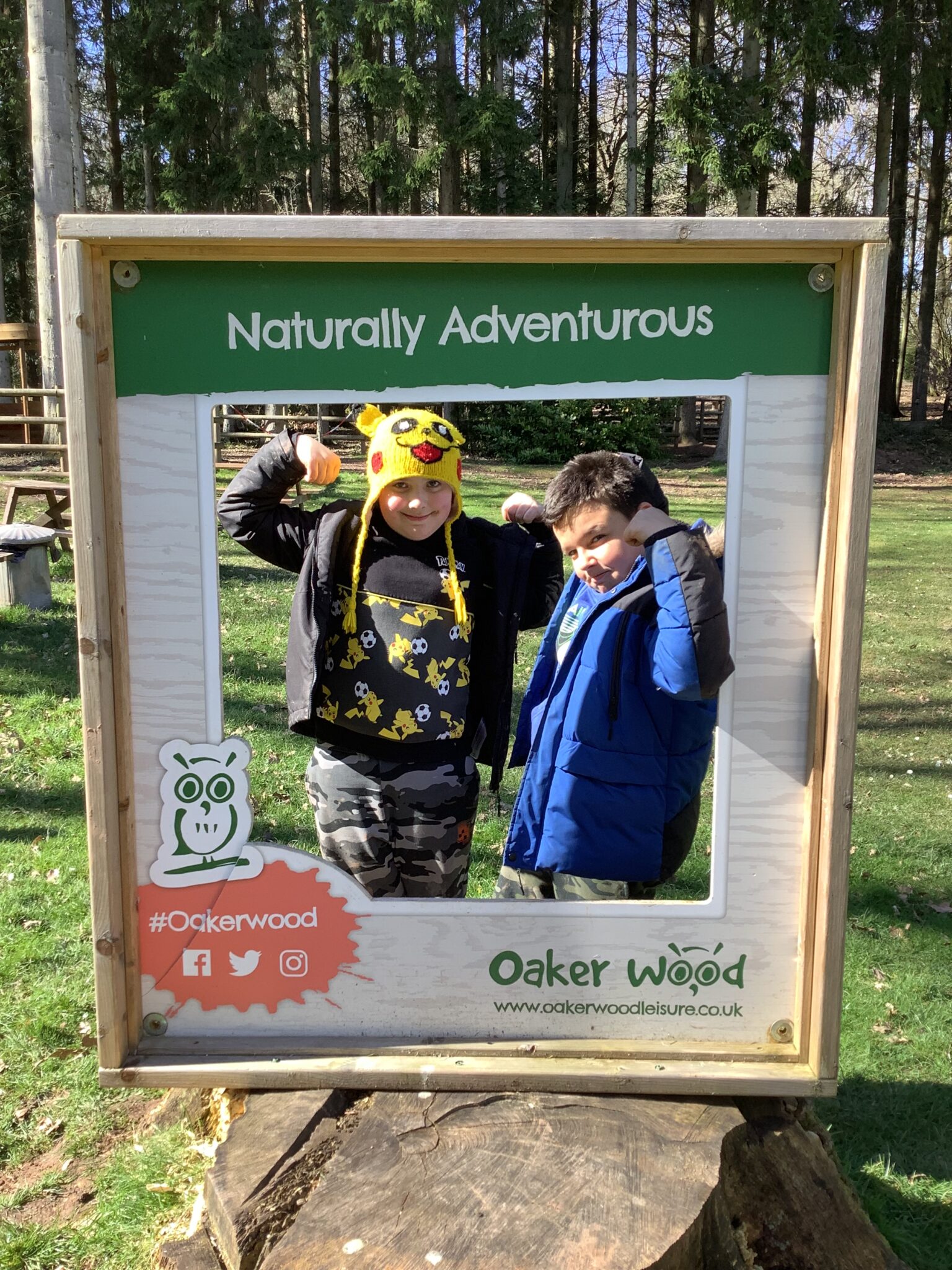 Year 4 | Hollymount School