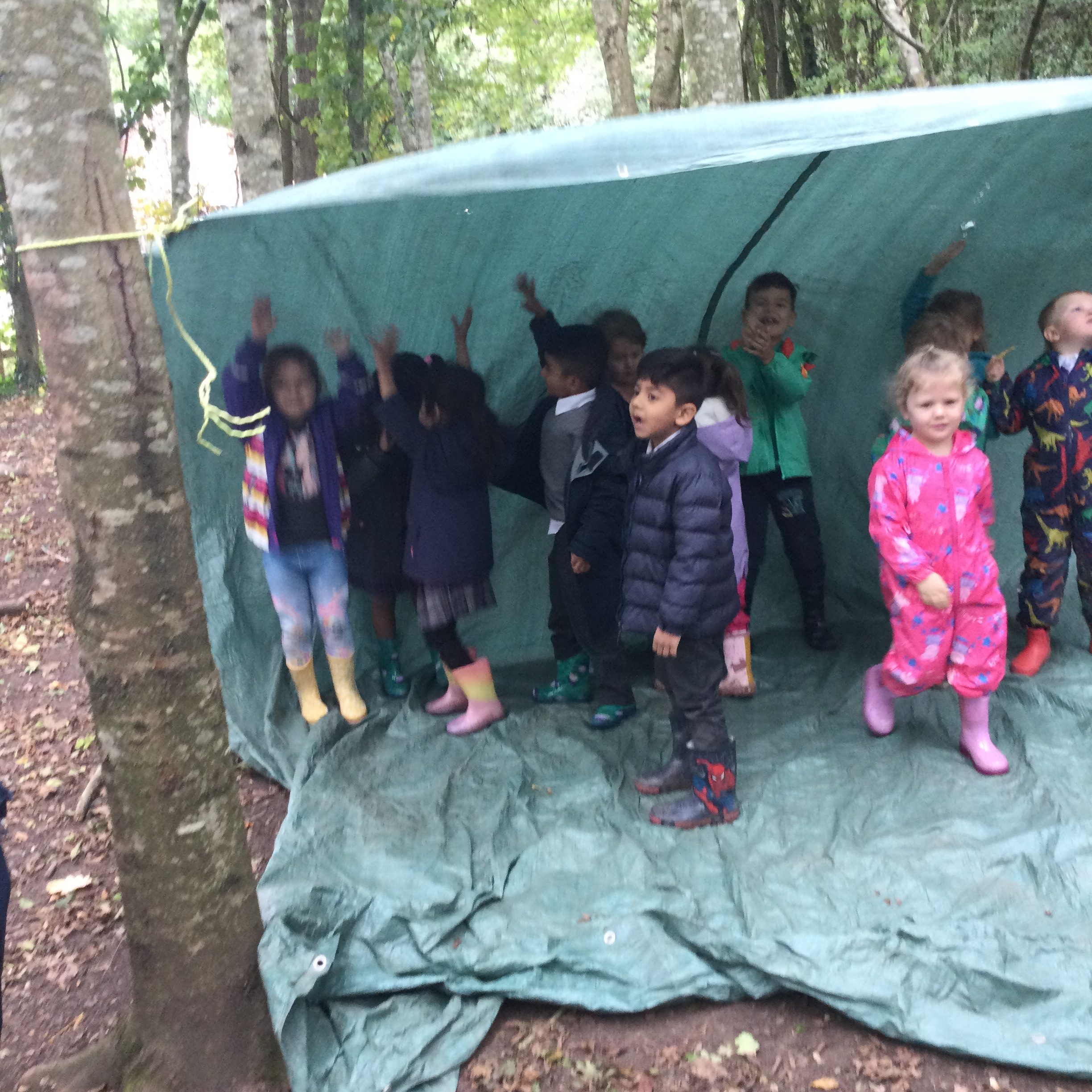 Reception | Hollymount School