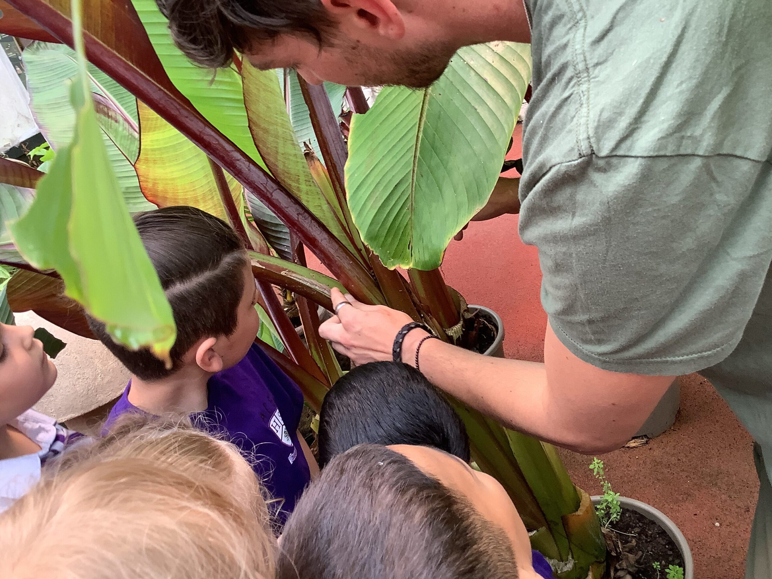 Year 2 | Hollymount School