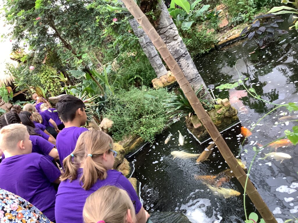 Year 2 | Hollymount School